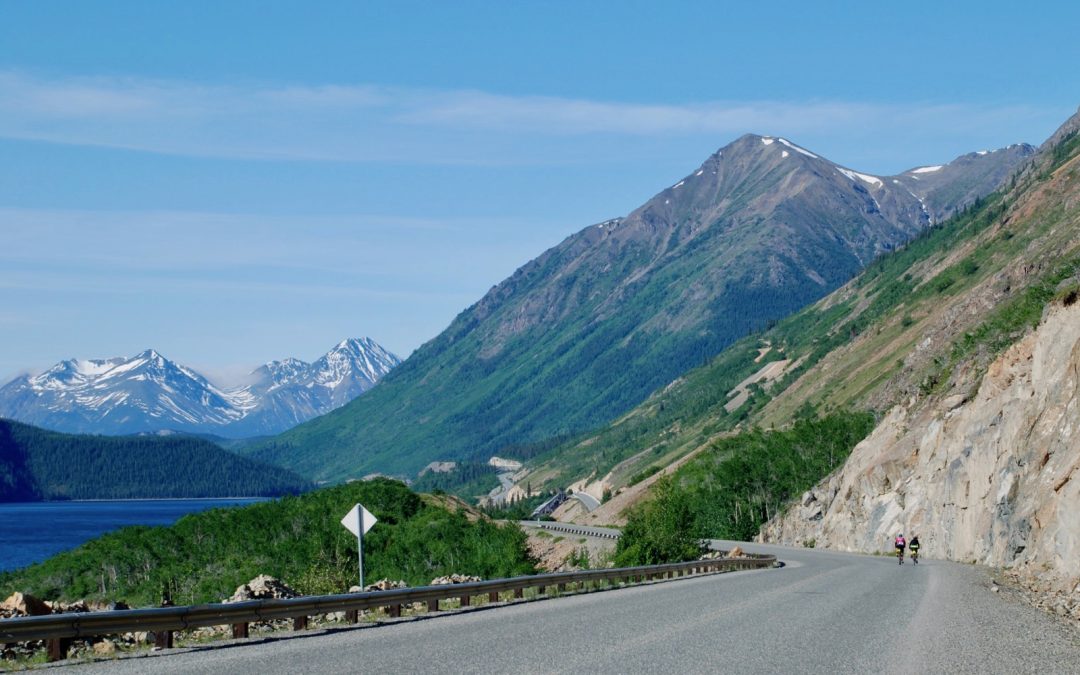 GC – Background | Sockeye Cycle